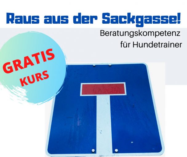 Raus aus der Sackgasse – jetzt! – KöterCoach